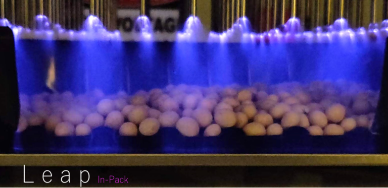 Food Processing Systems | BioZed Food Preservation Solutions